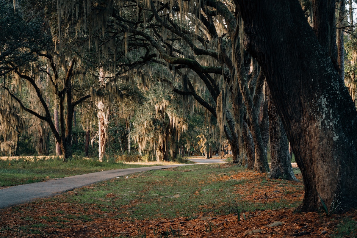 South Carolina - Concrete Block Supply